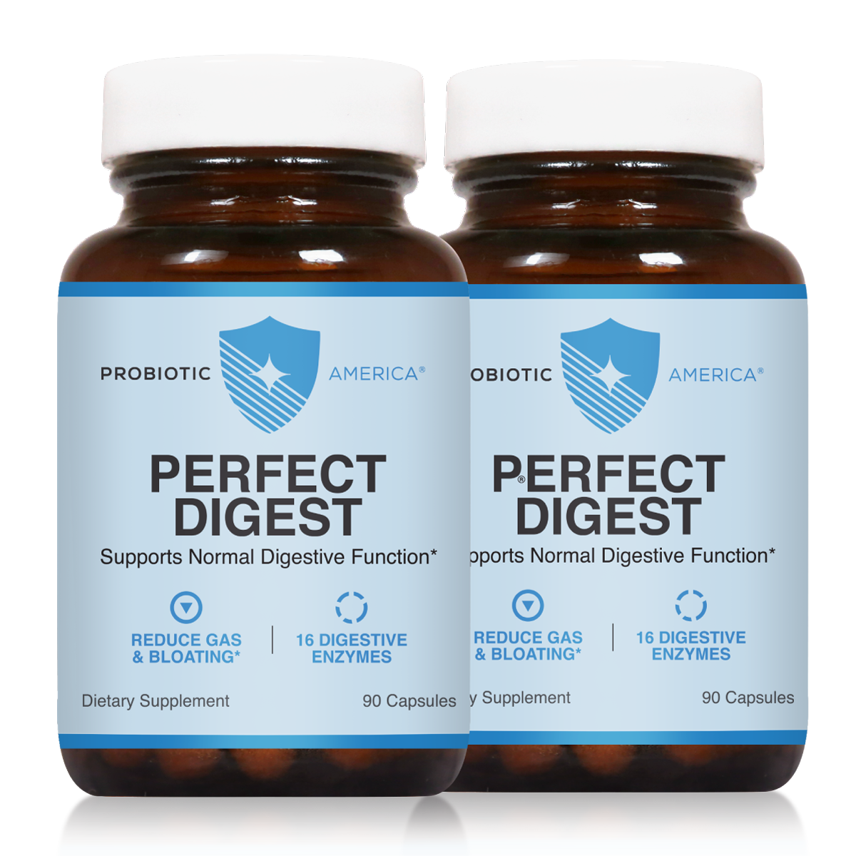 Probiotic America - Perfect Digest - Secure Order